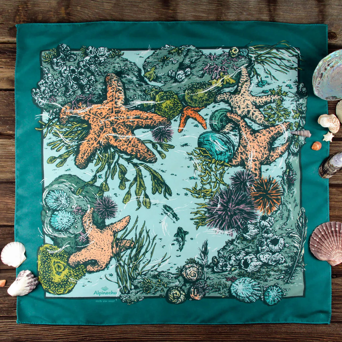 Alpinecho - Tide Pool Quick-Dry Bandana – Evergreen Outpost Co.